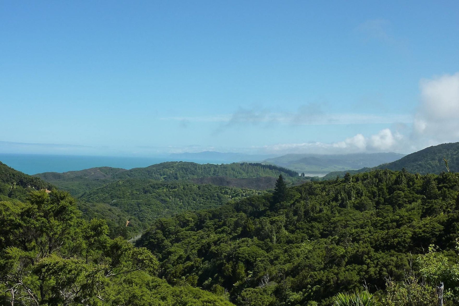 Avatar Manuka Honey Batch ID 8347-194 Hive Location Haha | Avatar New ...